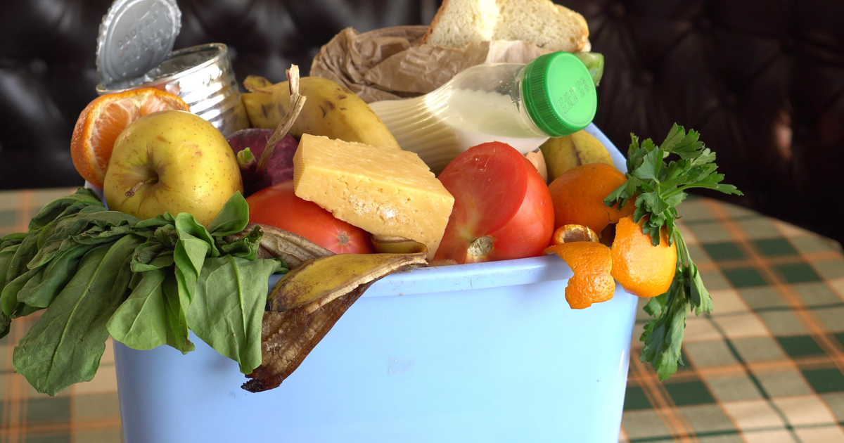 Waste not, want not: saving resources and protecting the planet | On ...